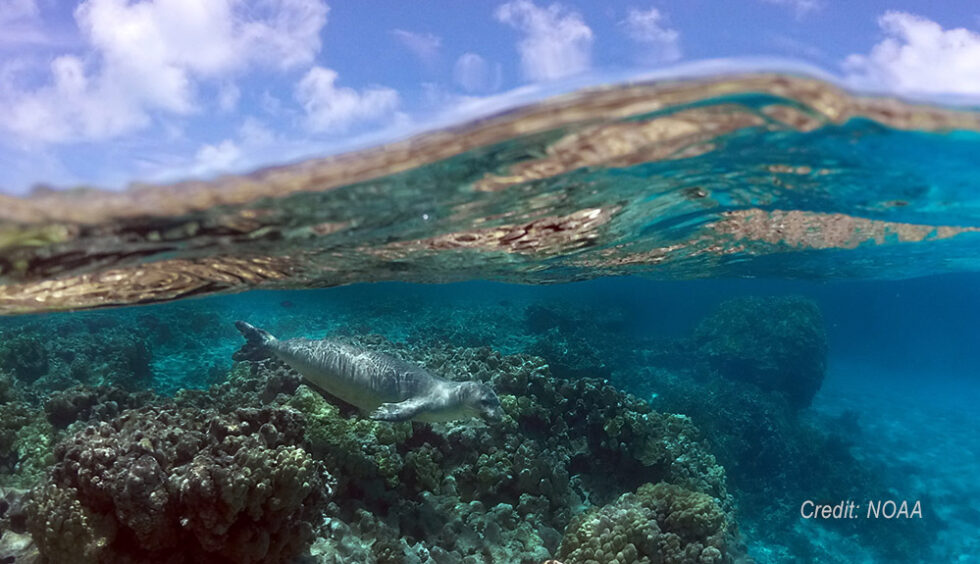 NOAA Careers - ASRC Federal